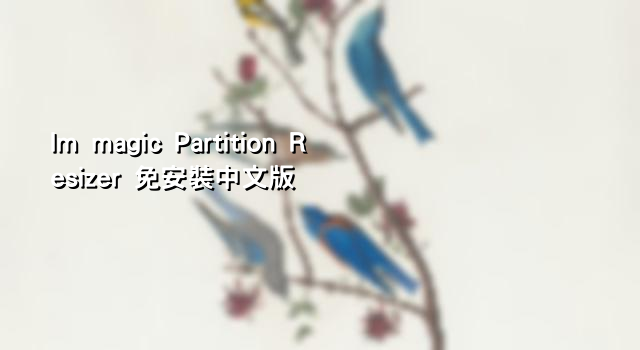 Im magic Partition Resizer 免安裝中文版 :: 硬碟磁區小達人